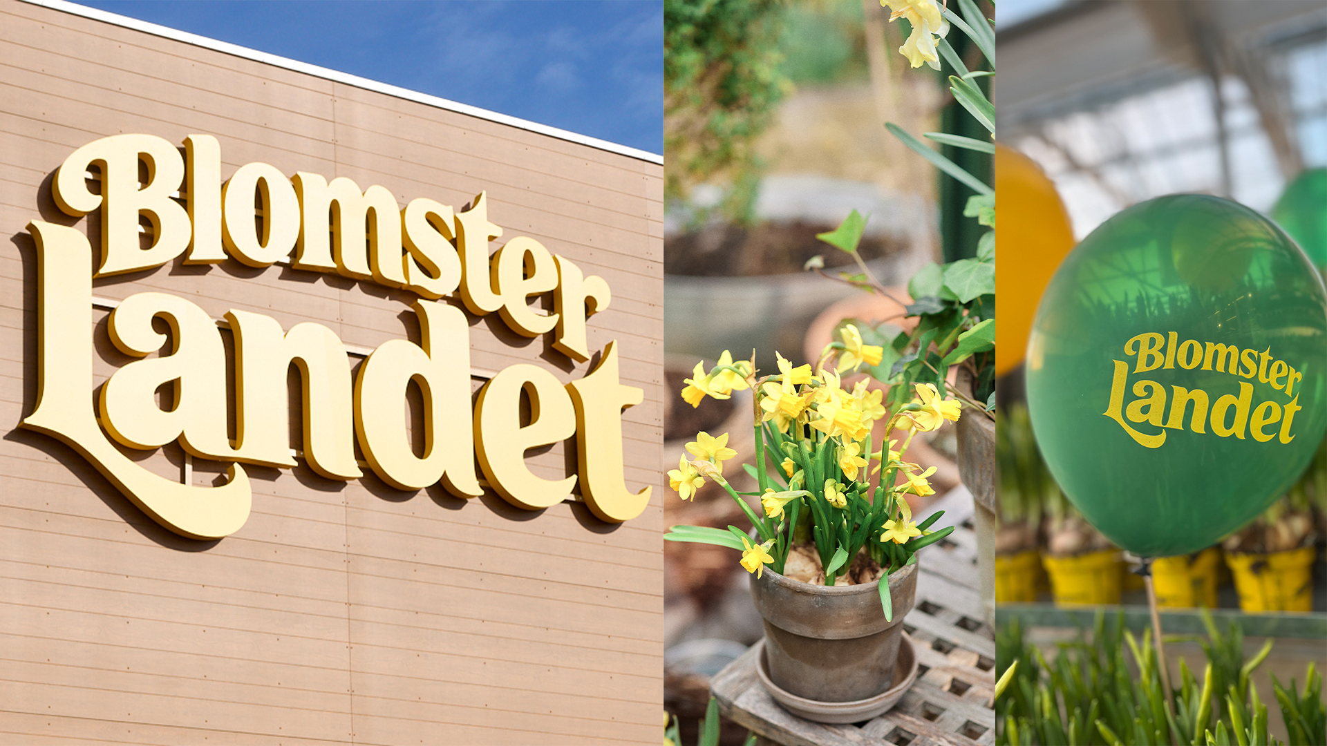 Blomsterlandet inviger butik i Mora fredag 27 mars