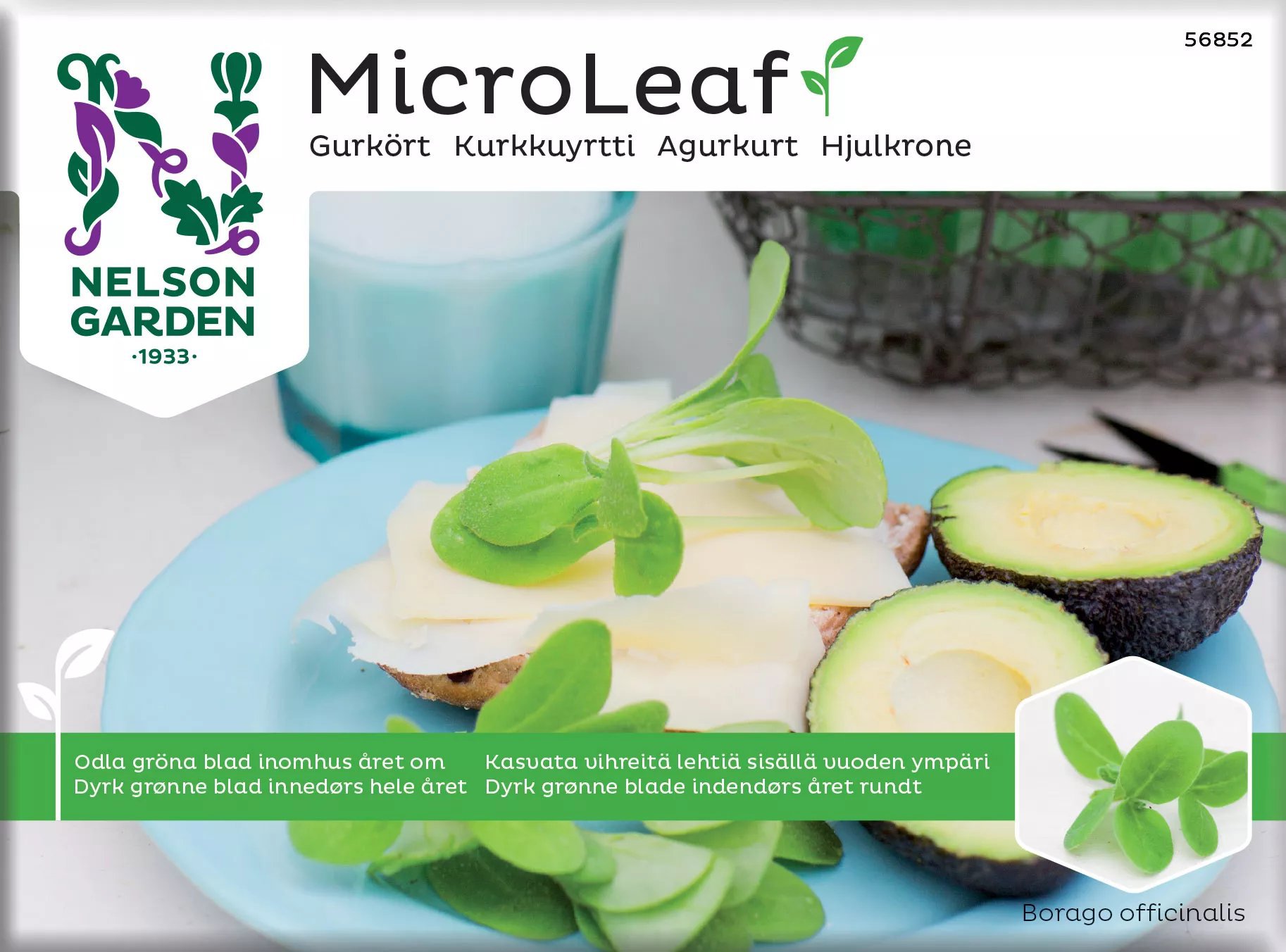 Micro Leaf Gurkört