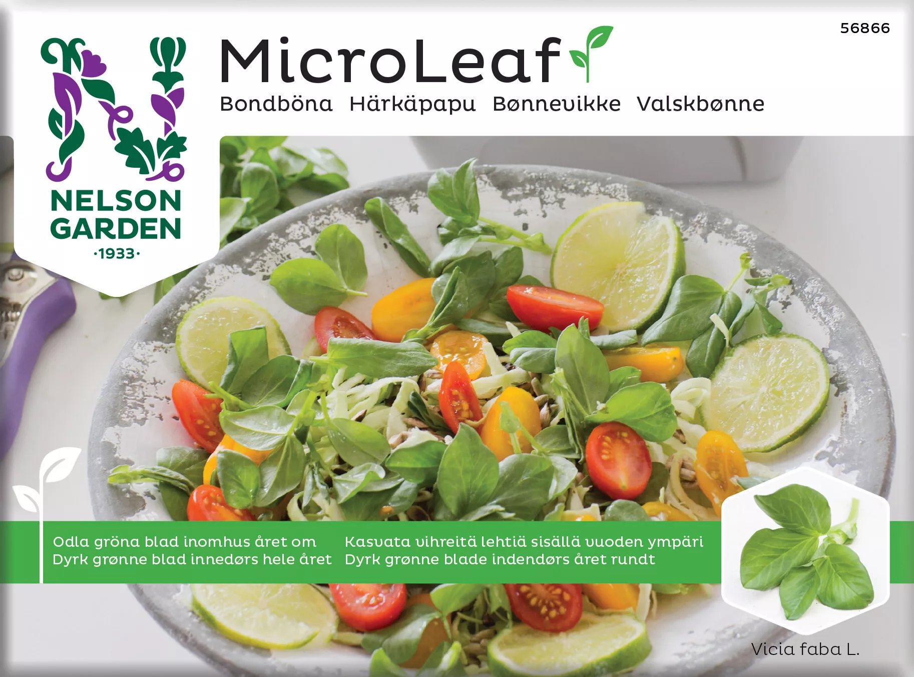 Micro Leaf Bondböna