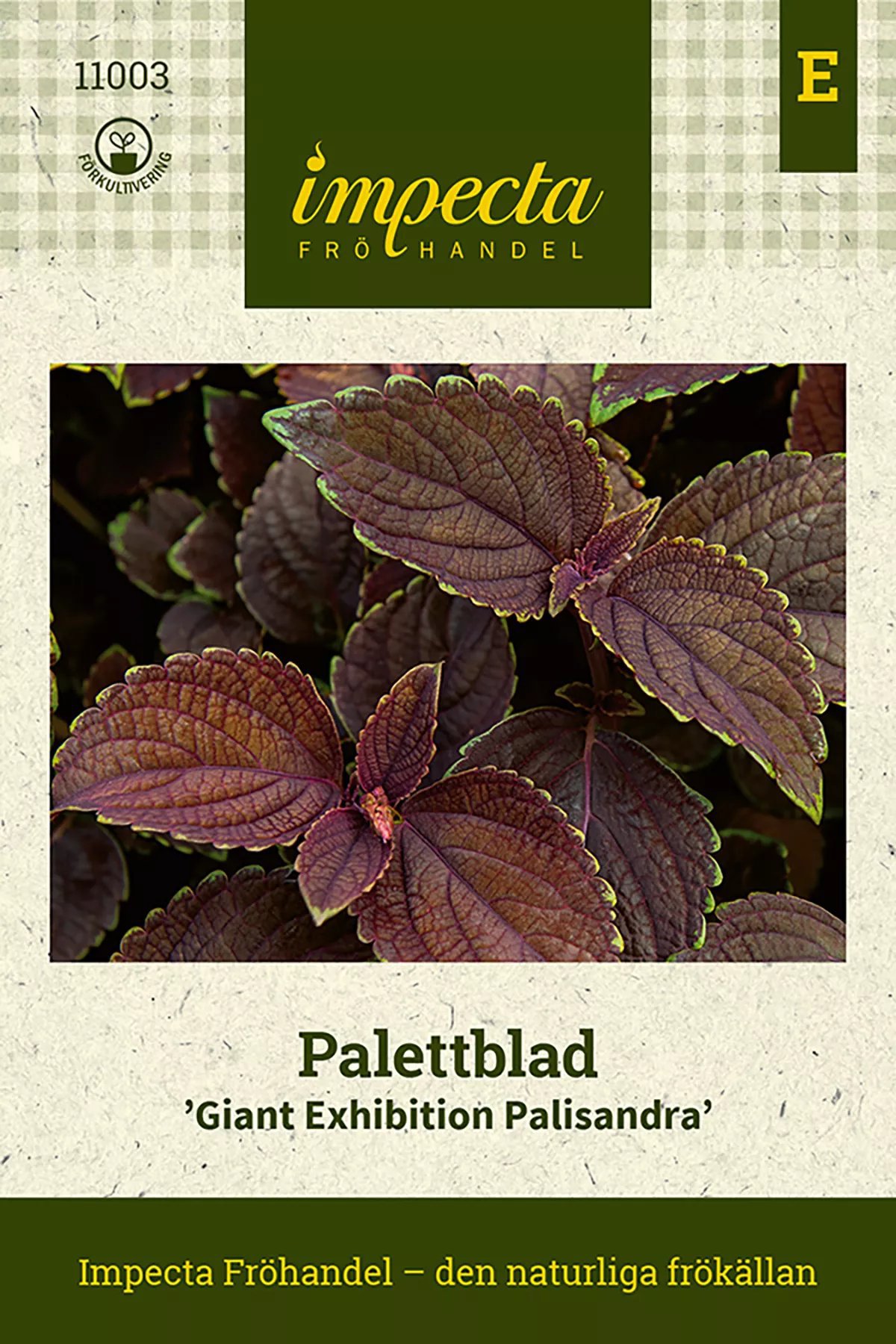 Palettblad 'Giant Exhibition Palisandra' 15 st Svenskt Sigill/E-planta ...