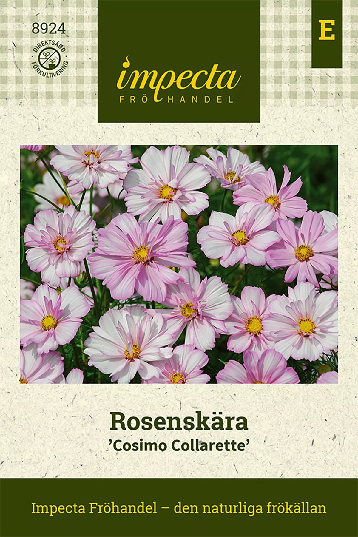 Rosenskära 'Cosimo Collarette' 40 st