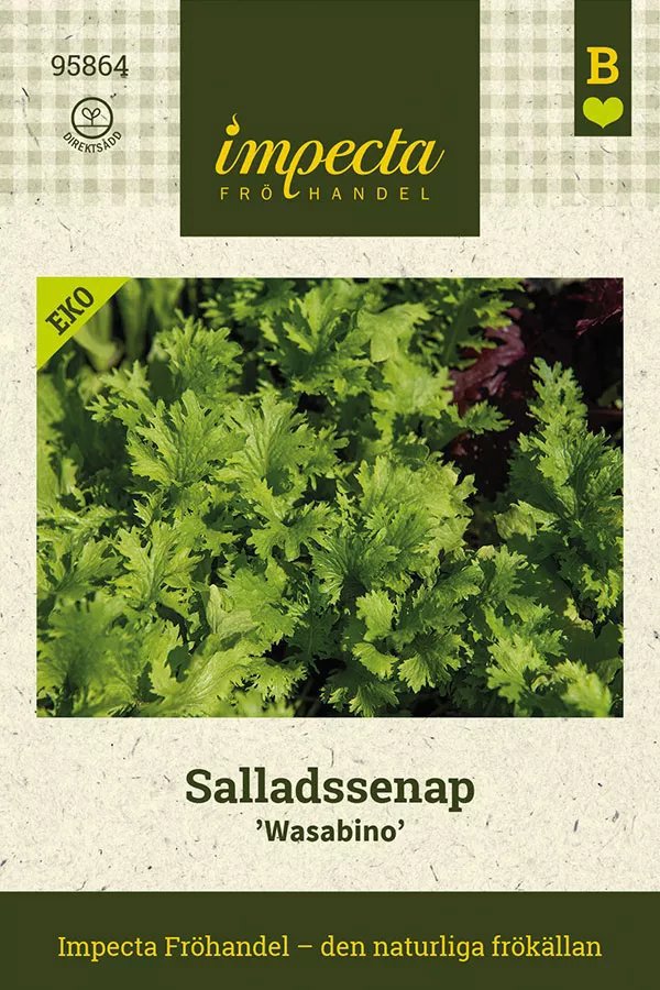 Salladssenap 'Wasabino' 200 st KRAV