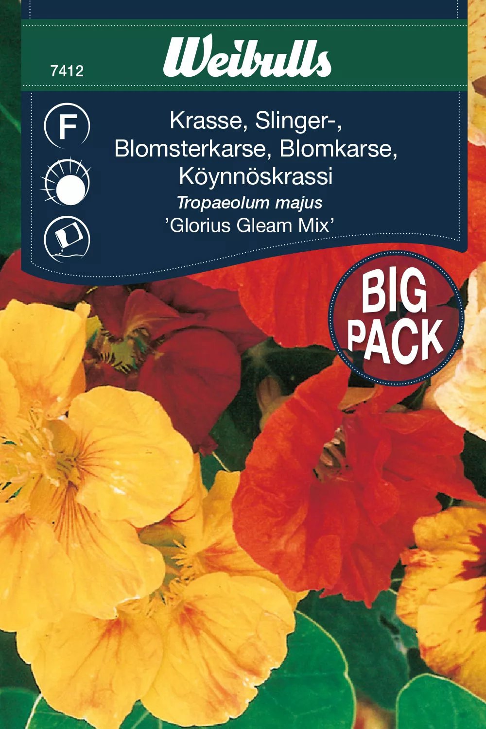 Slingerkrasse Glorius Gleam Mix
