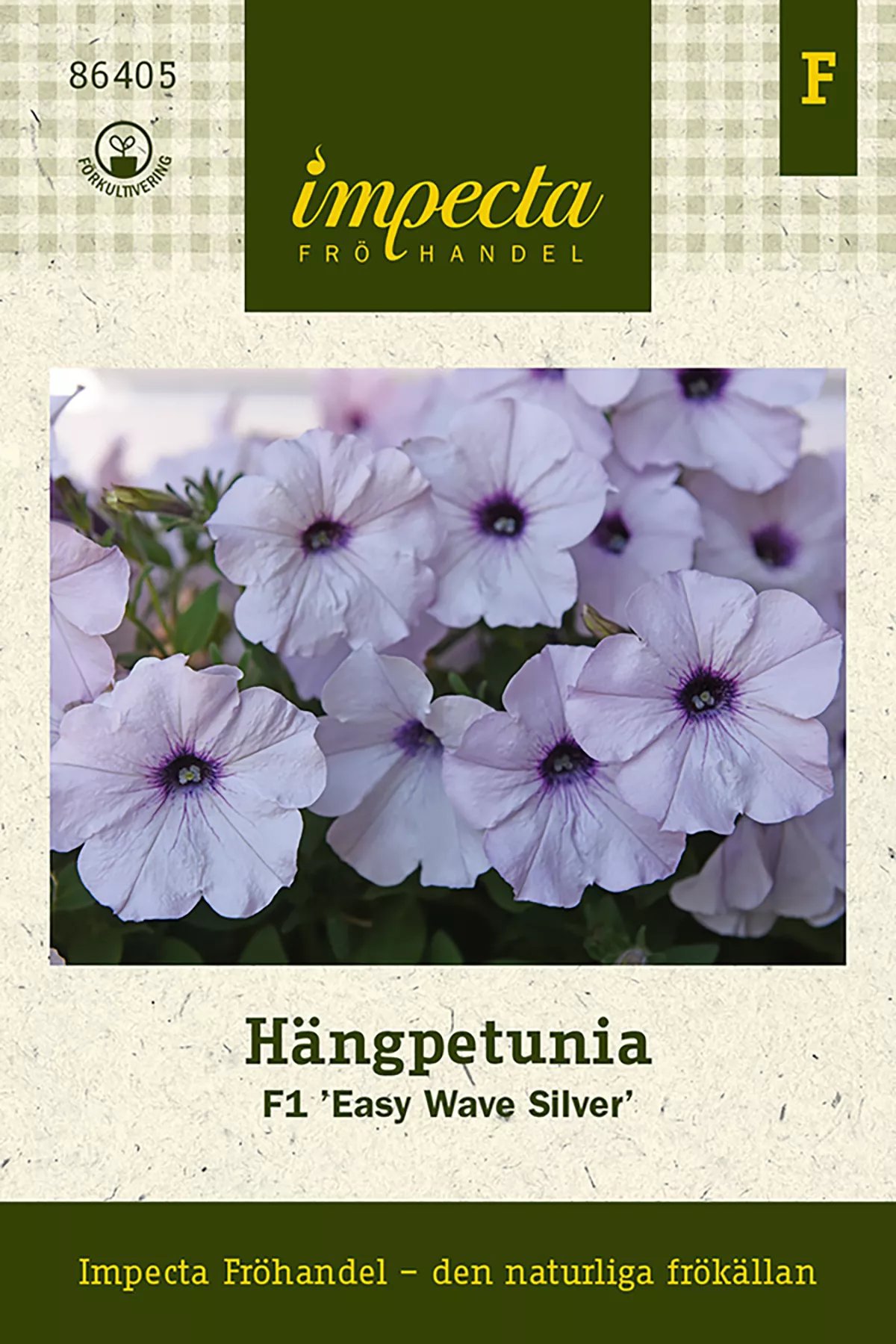 Hängpetunia F1 'Easy Wave Silver' 10 st