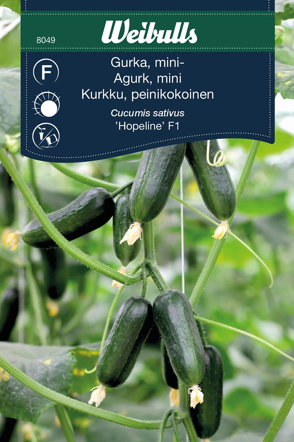 Gurka 'Hopeline' F1