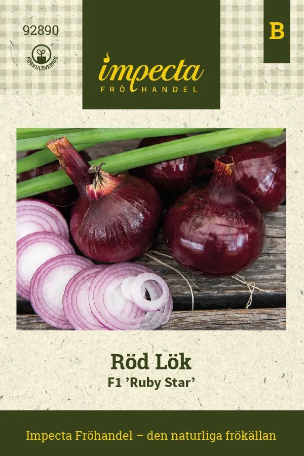 Röd Lök 'Ruby Star' F1 100 st
