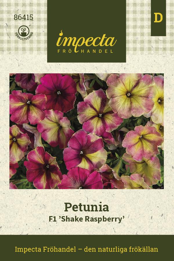 Petunia 'Shake Raspberry' F1 20 st