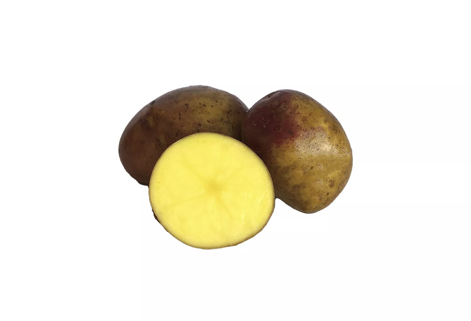 Sättpotatis 'Carolus' Eko 500 g