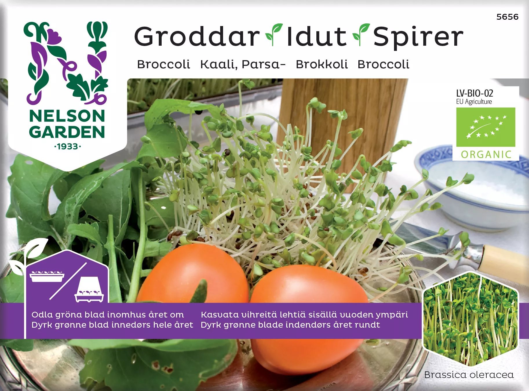 Groddar, Broccoli EU-Organic