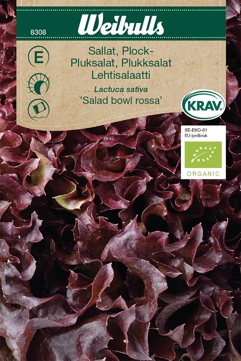 Plocksallat 'Salad Bowl Rossa' KRAV/EU-Organic