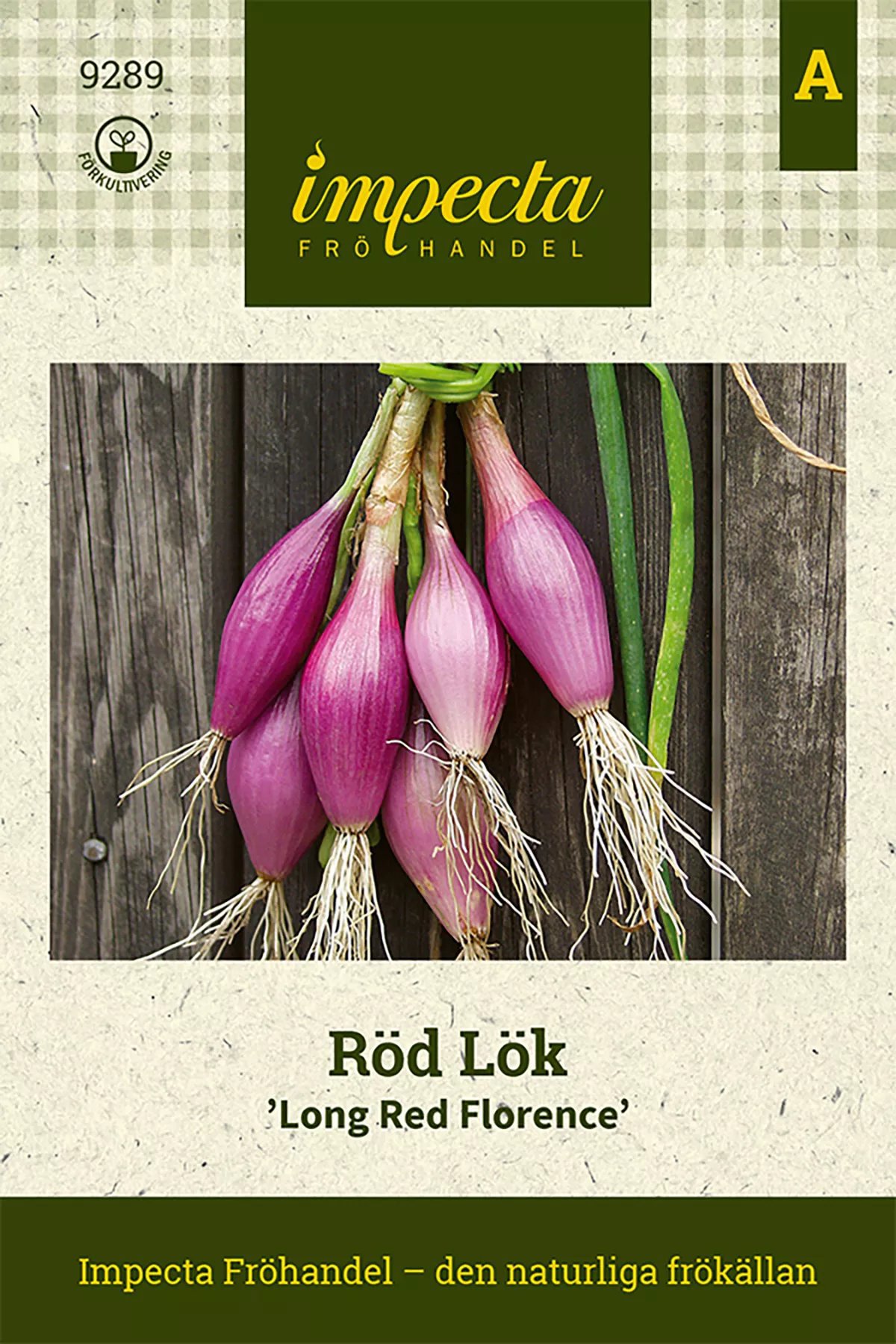 Röd Lök 'Long Red Florence' 300 st