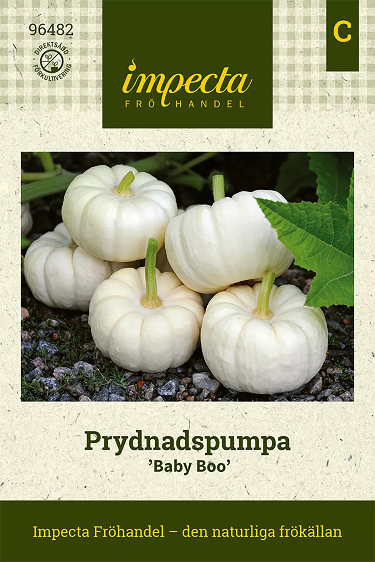 Prydnadspumpa 'Baby Boo' 20 st