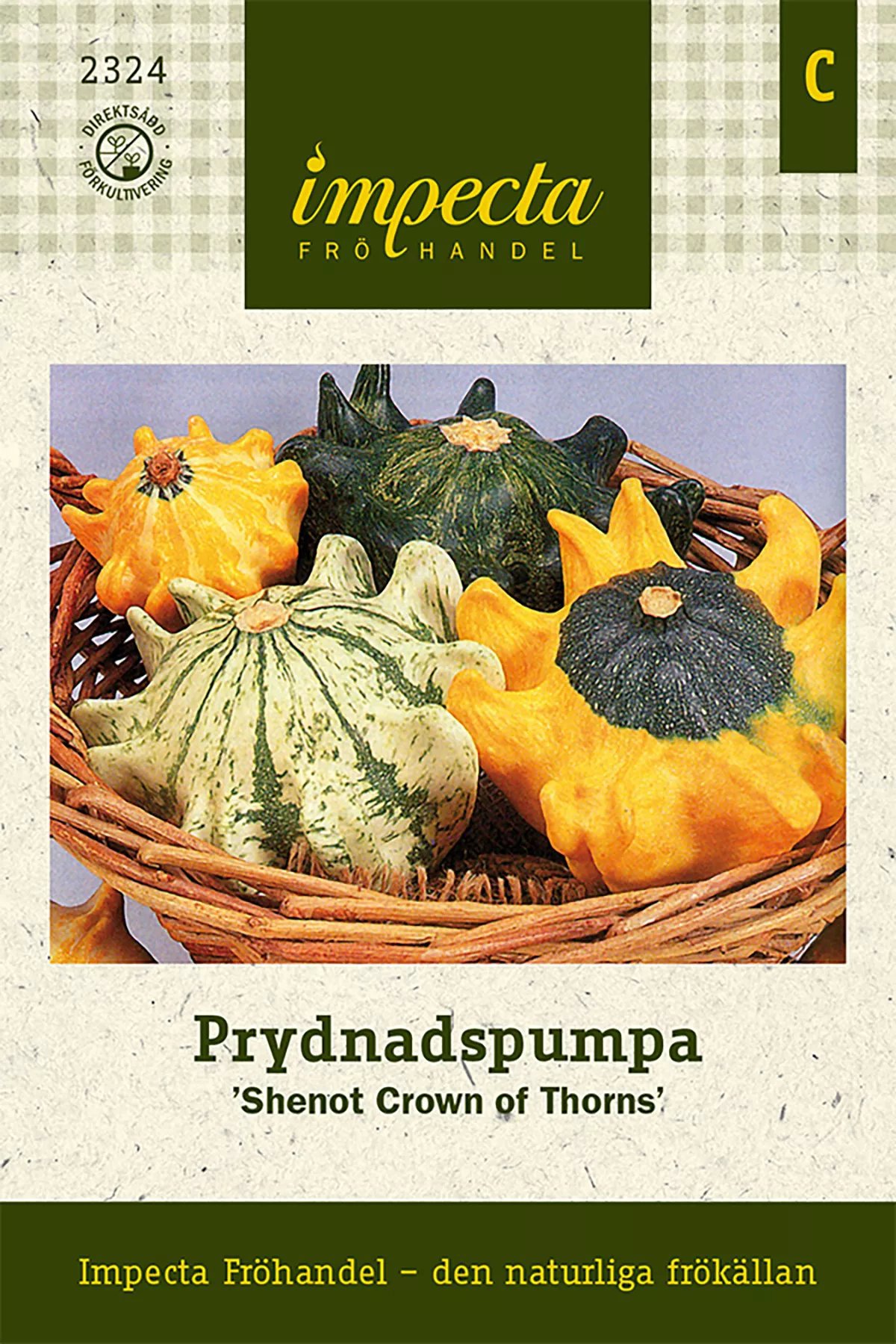 Prydnadspumpa 'Shenot Crown Of Thorns' 18 st