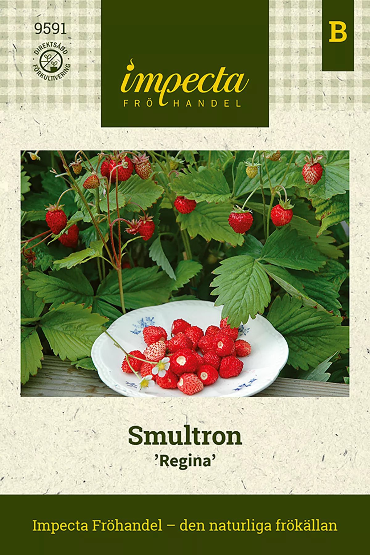 Smultron 'Regina' 200 st