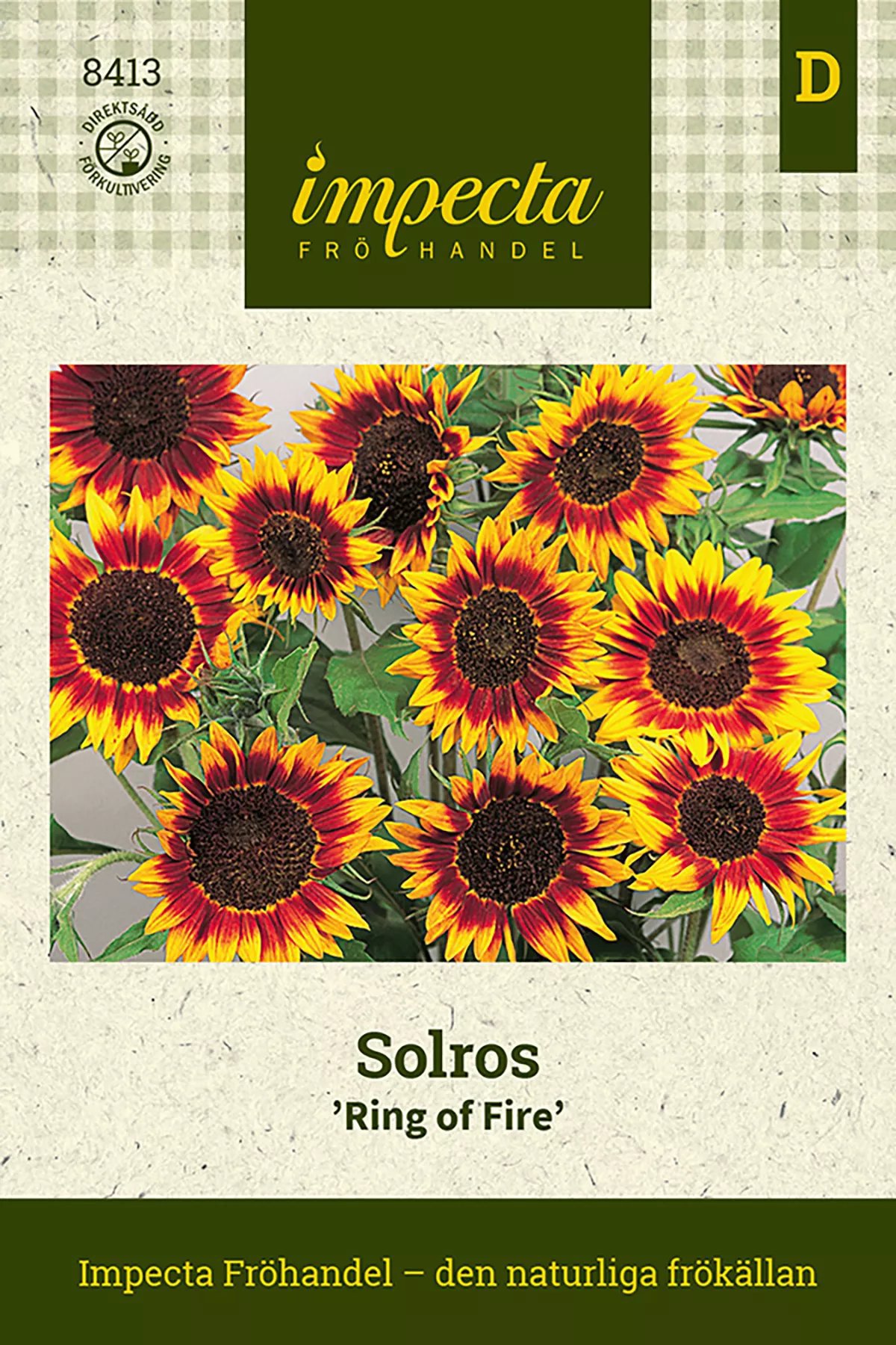 Solros 'Ring Of Fire' 20 st