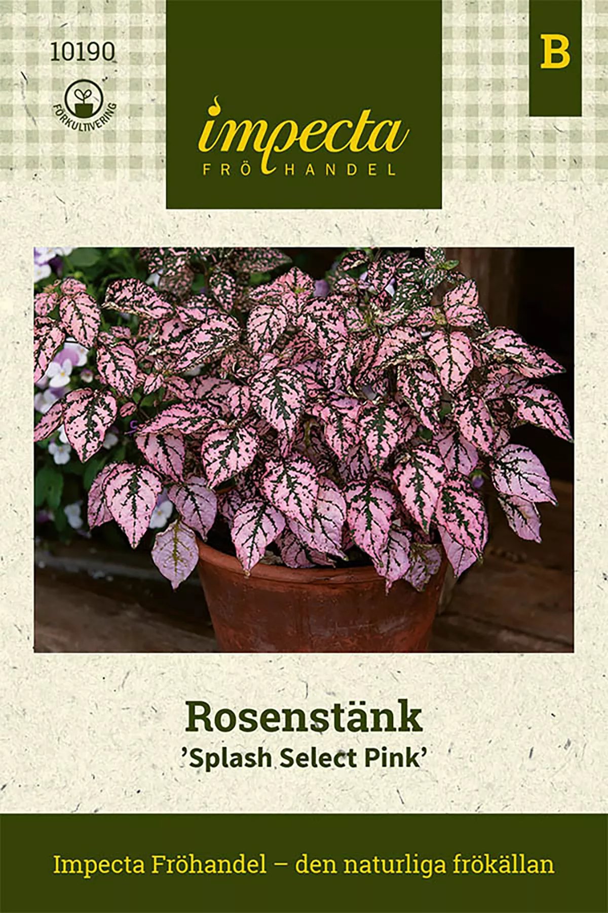 Rosenstänk 'Splash Select Pink' 20 st