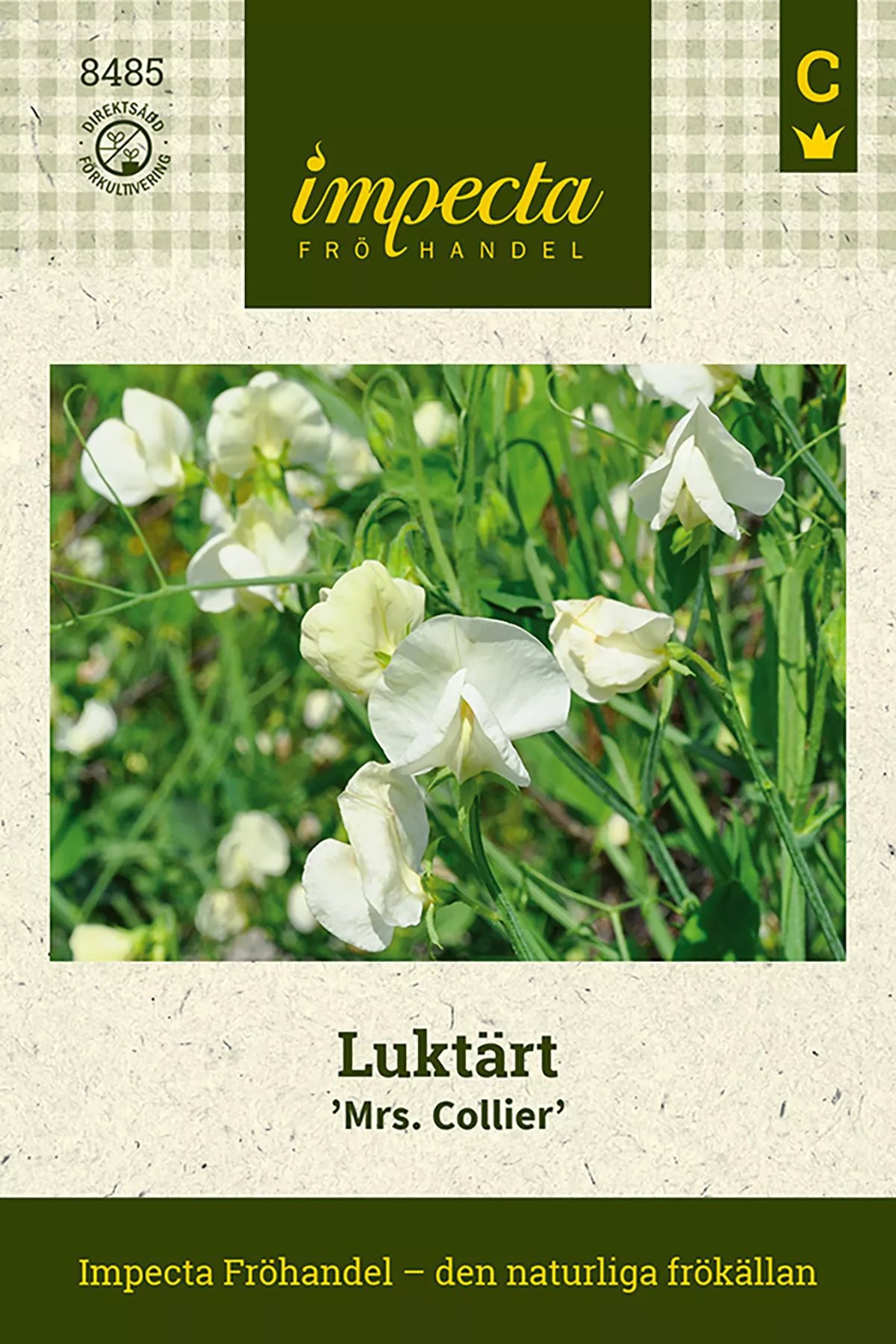 Luktärt 'Mrs. Collier' 20 st