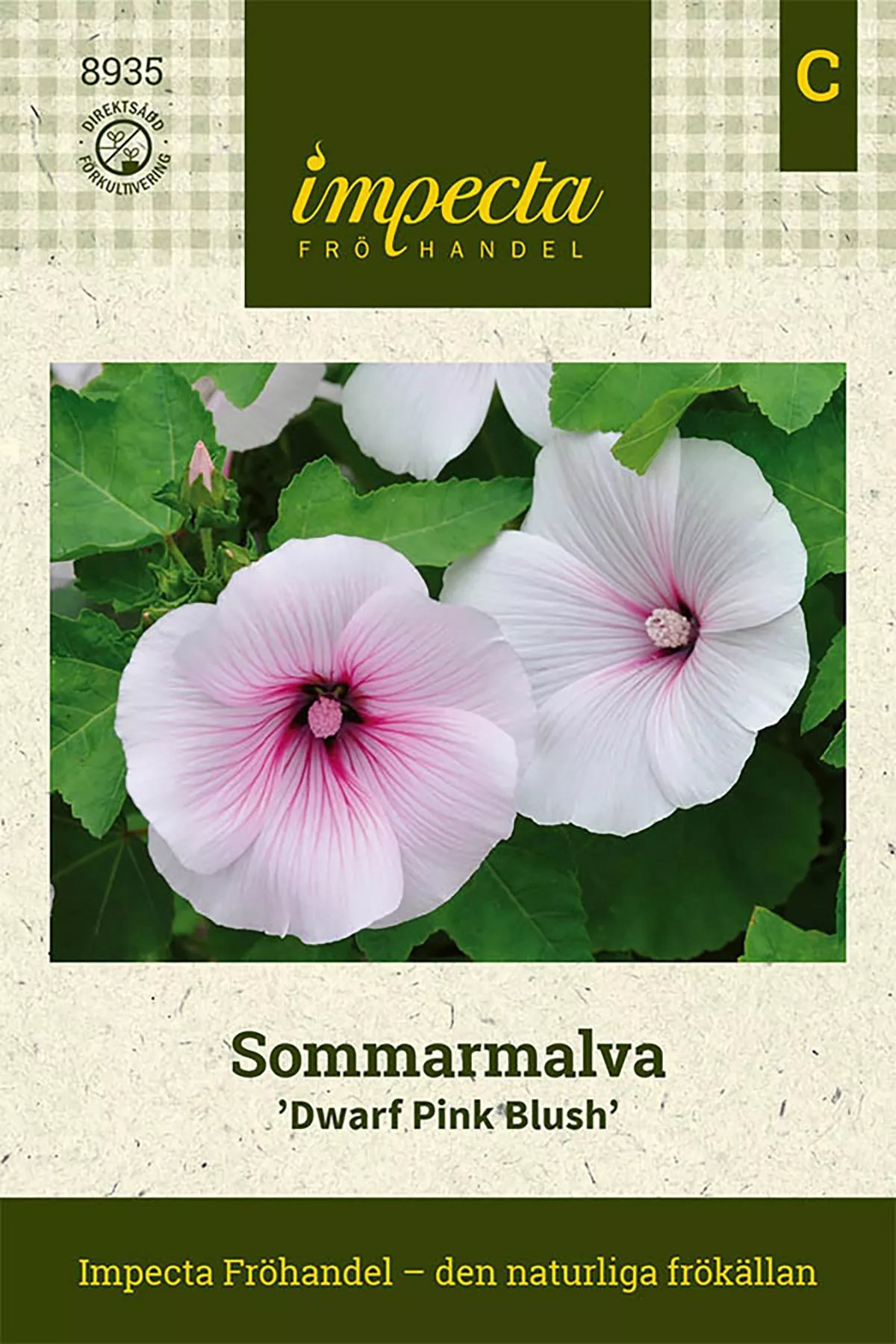 Sommarmalva 'Dwarf Pink Blush' 60 st